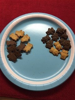 Sorting Teddy Grahams – Principia Acorn
