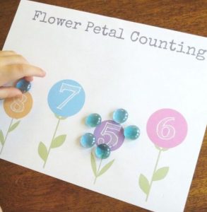 Flower Petal Counting – Principia Acorn