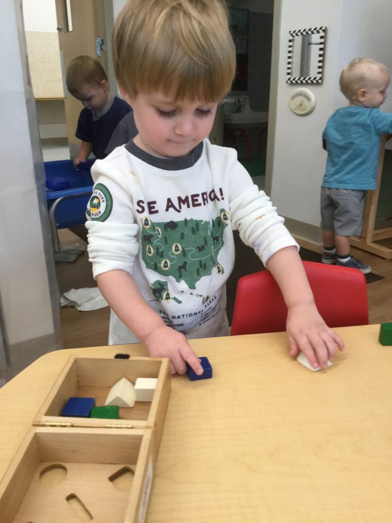 Shape Sorting – Principia Acorn