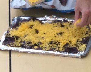 Blue Nachos – Principia Acorn