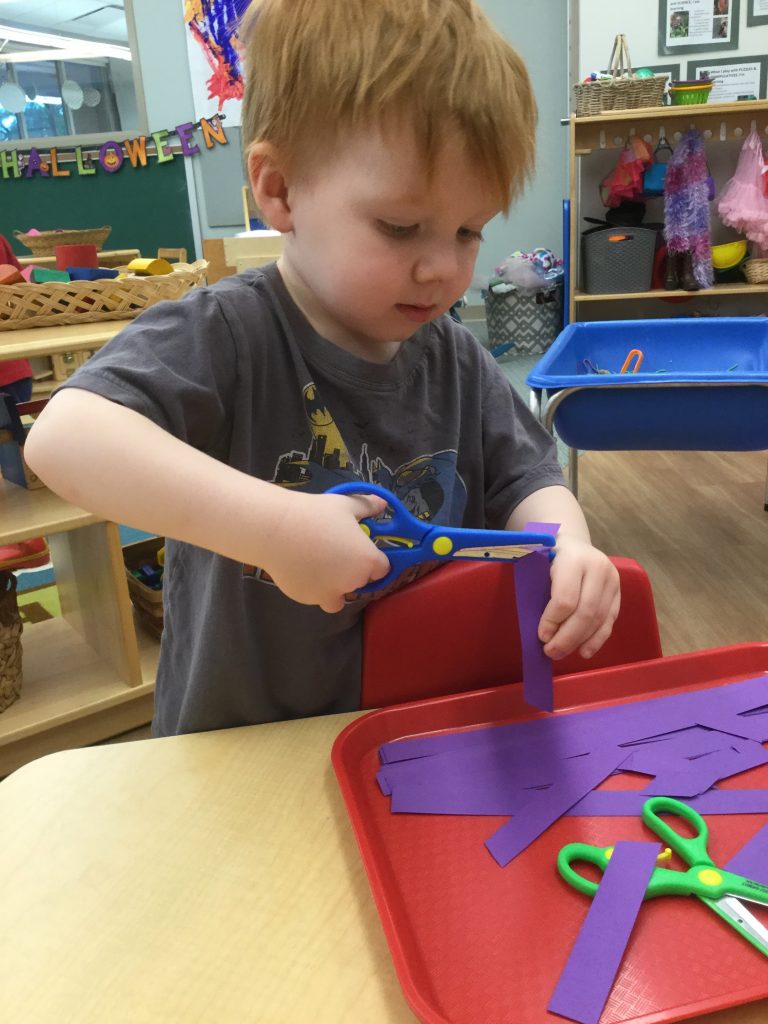 Purple Paper Snipping – Principia Acorn